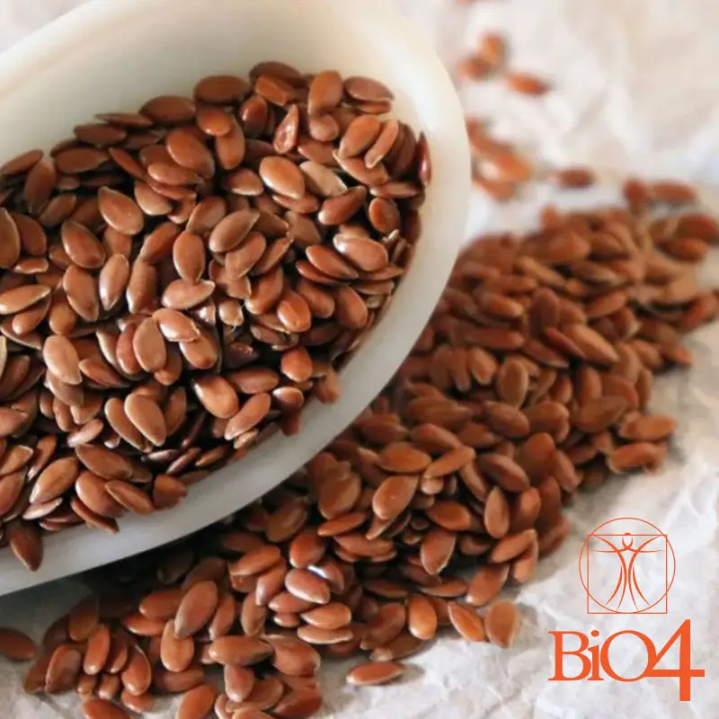 Bio Flax 600 grs. | Bio4